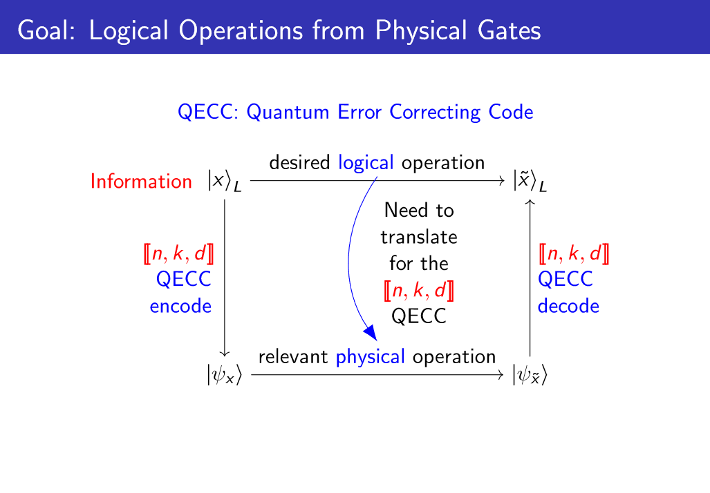 Quantum Codes Optimized For The Dynamics Between Encoded Computation